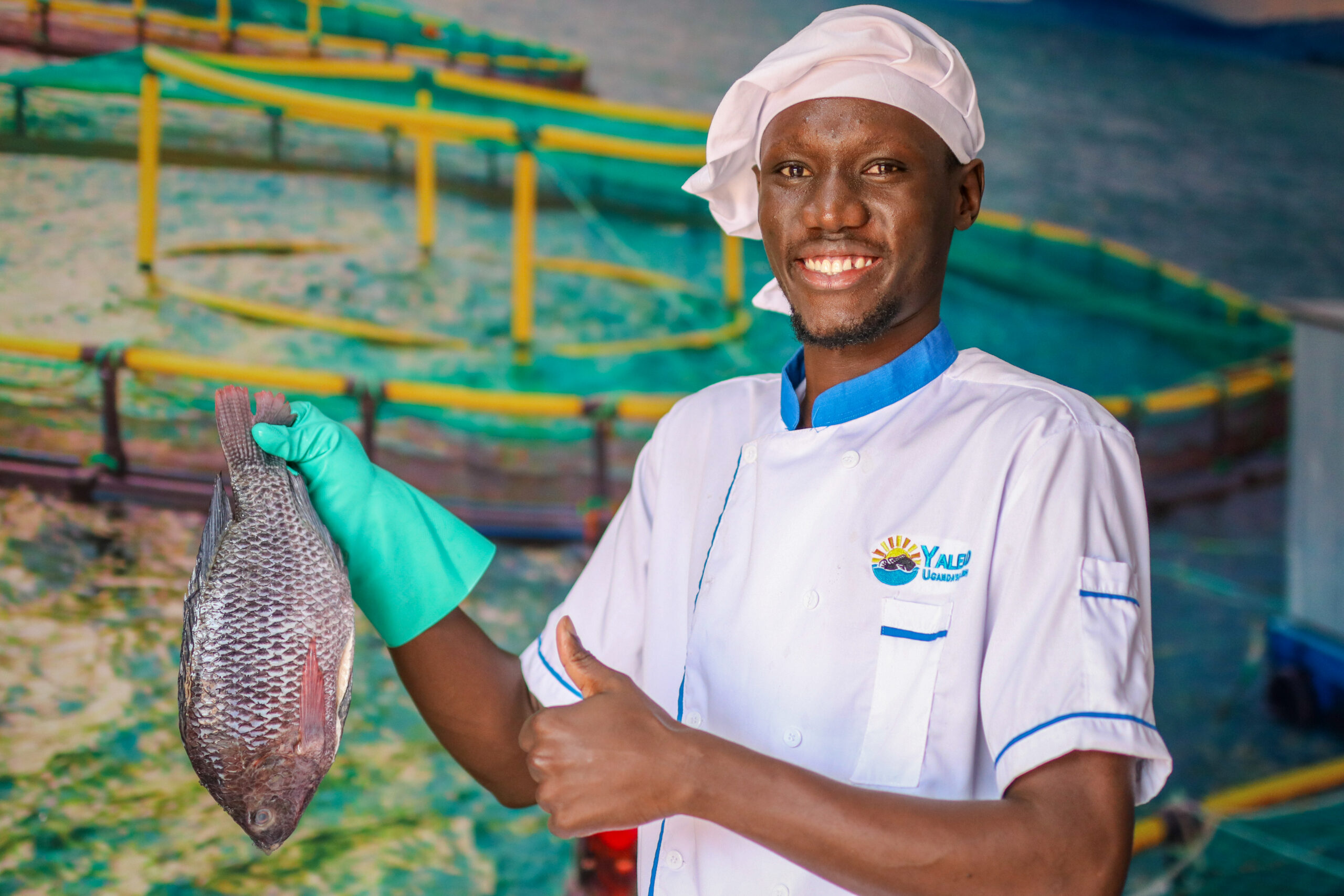 Yalelo About Us – Yalelo Uganda